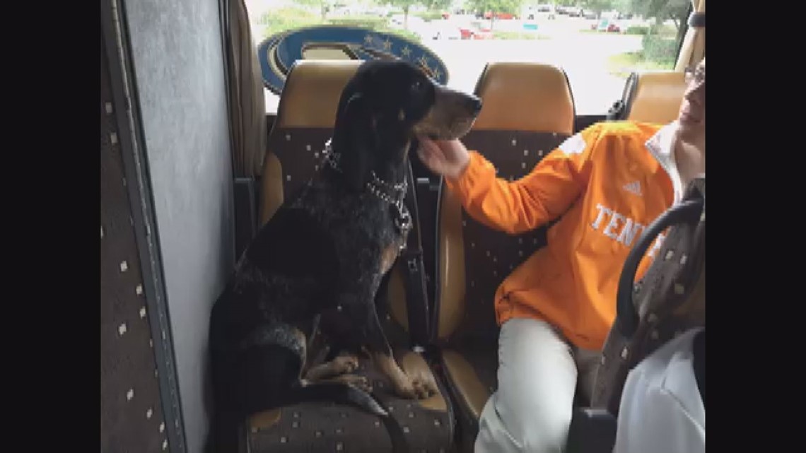 Meet Smokey on Saturday when UT unveils 10 statues in his honor | wbir.com