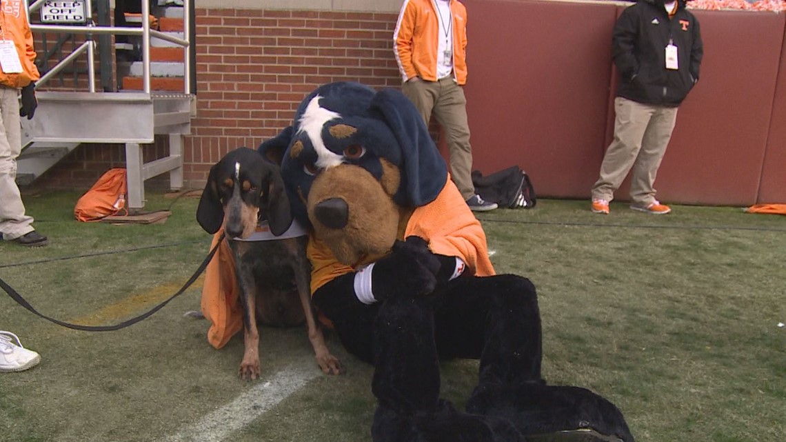 Meet Smokey on Saturday when UT unveils 10 statues in his honor | wbir.com