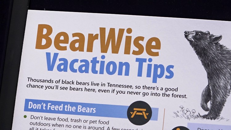 Vacationing near the Smokies? Bear safety tips for your cabin or hotel ...