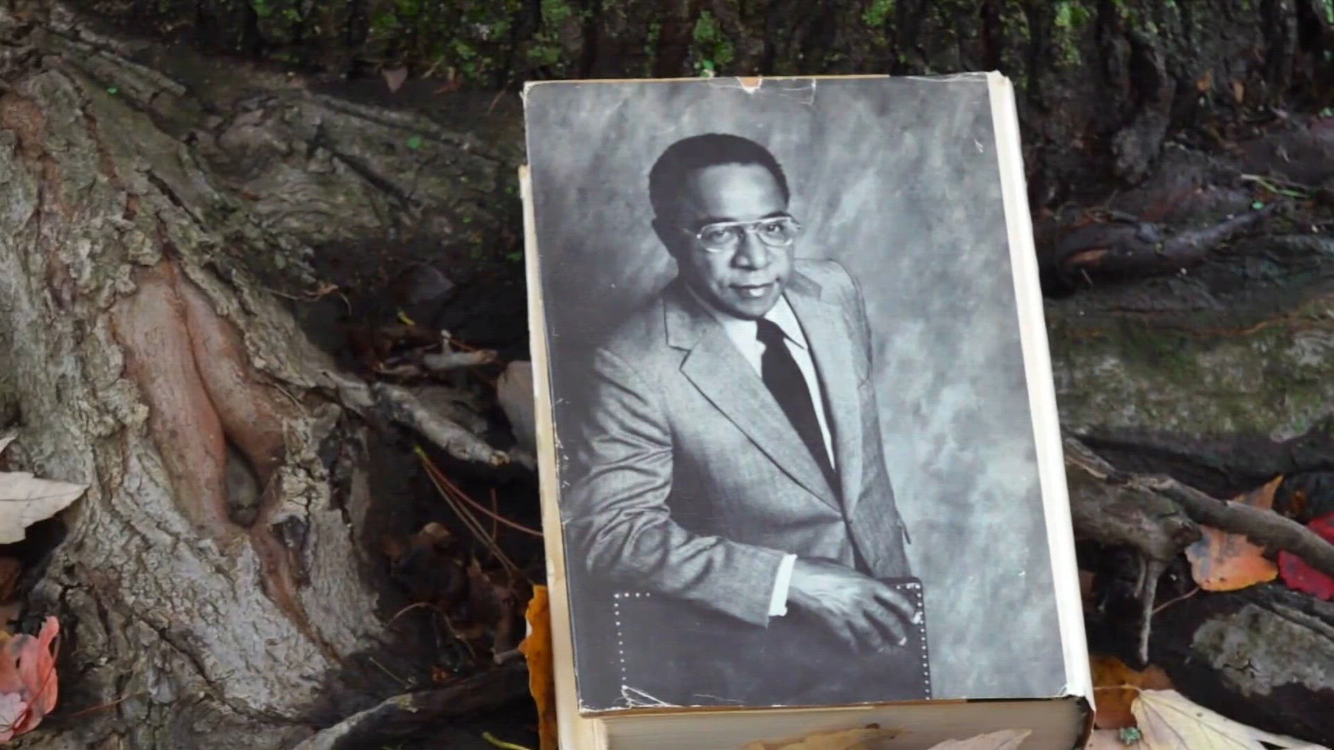 Advocates praise 'Roots' returns to KCS library shelves | wbir.com