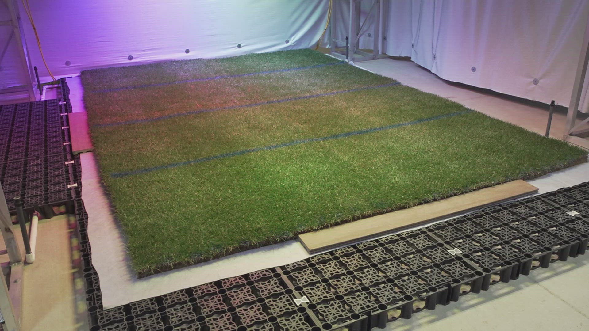 UT researching the perfect grass for FIFA | wbir.com