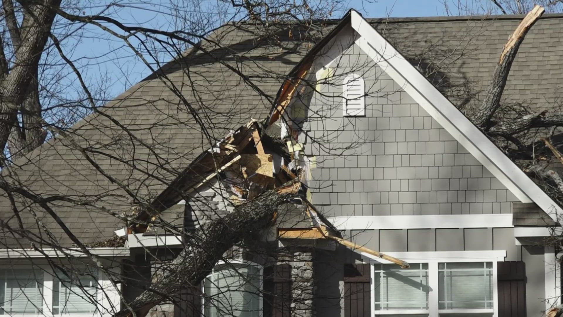 No one hurt after tree falls on Knoxville home | wbir.com