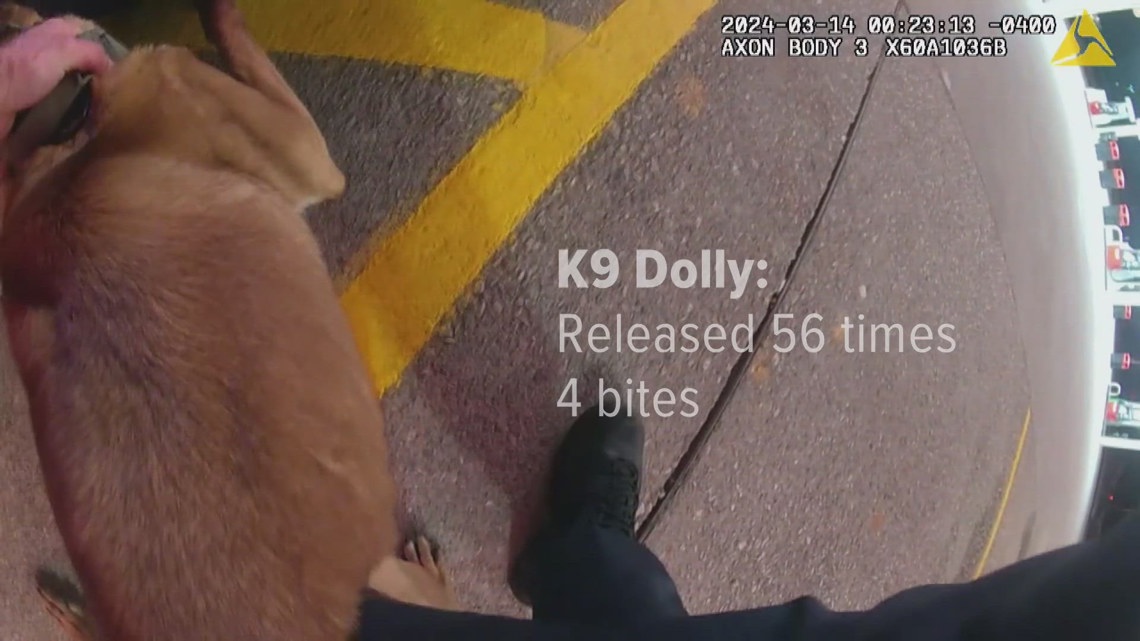 Use of force expert weighs in on Knox County body camera footage of K9 ...