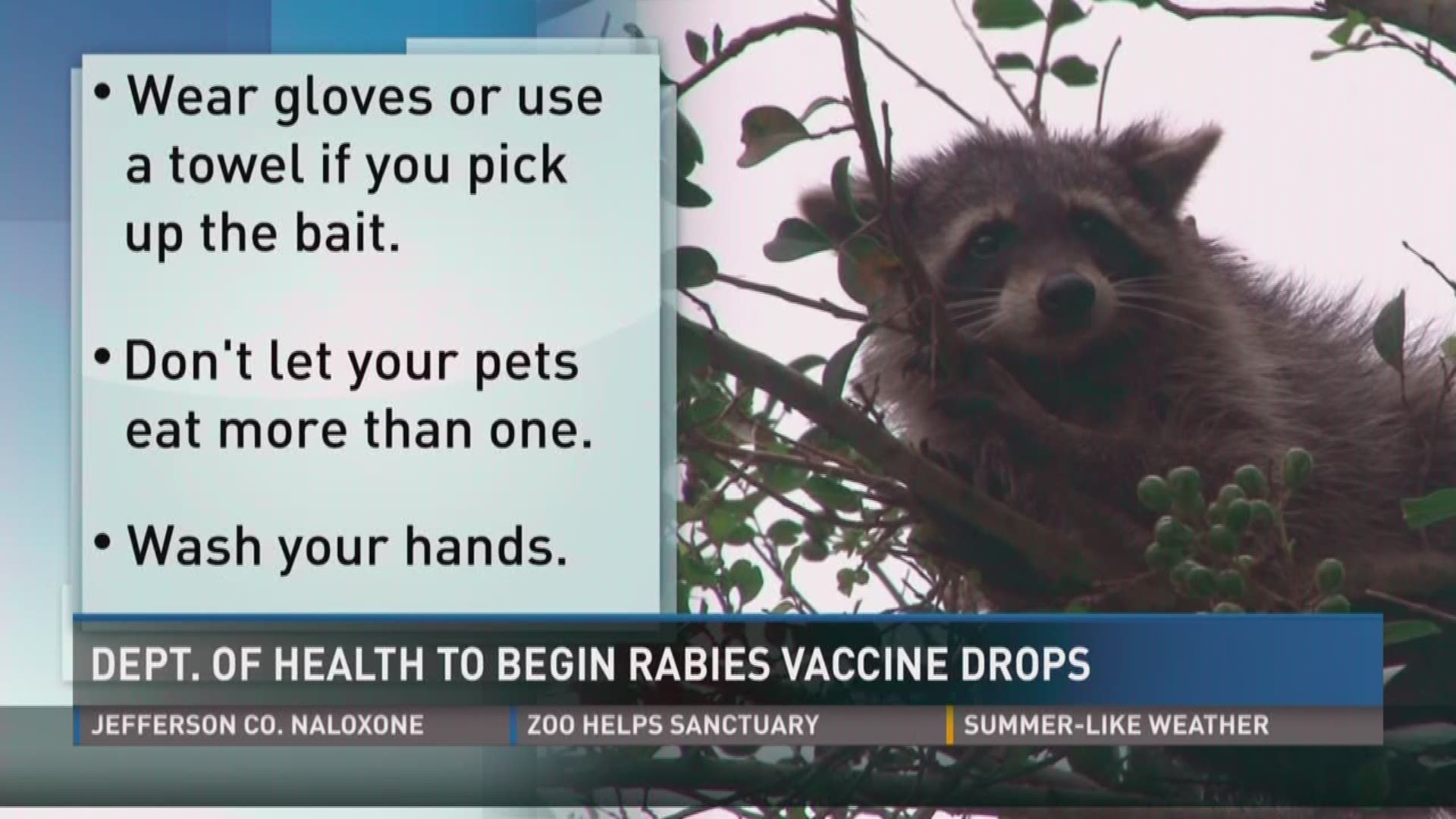Rabies vaccine to be dropped in TN Valley this month | wbir.com