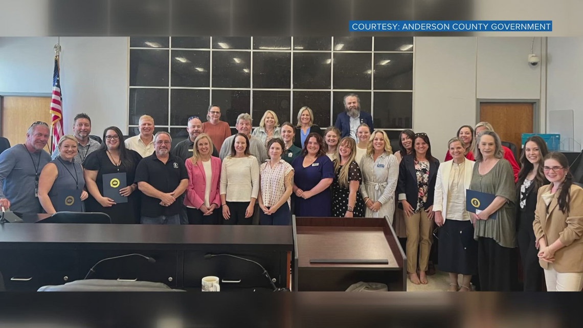 Anderson County groups awarded more than $425K to fight opioid use ...