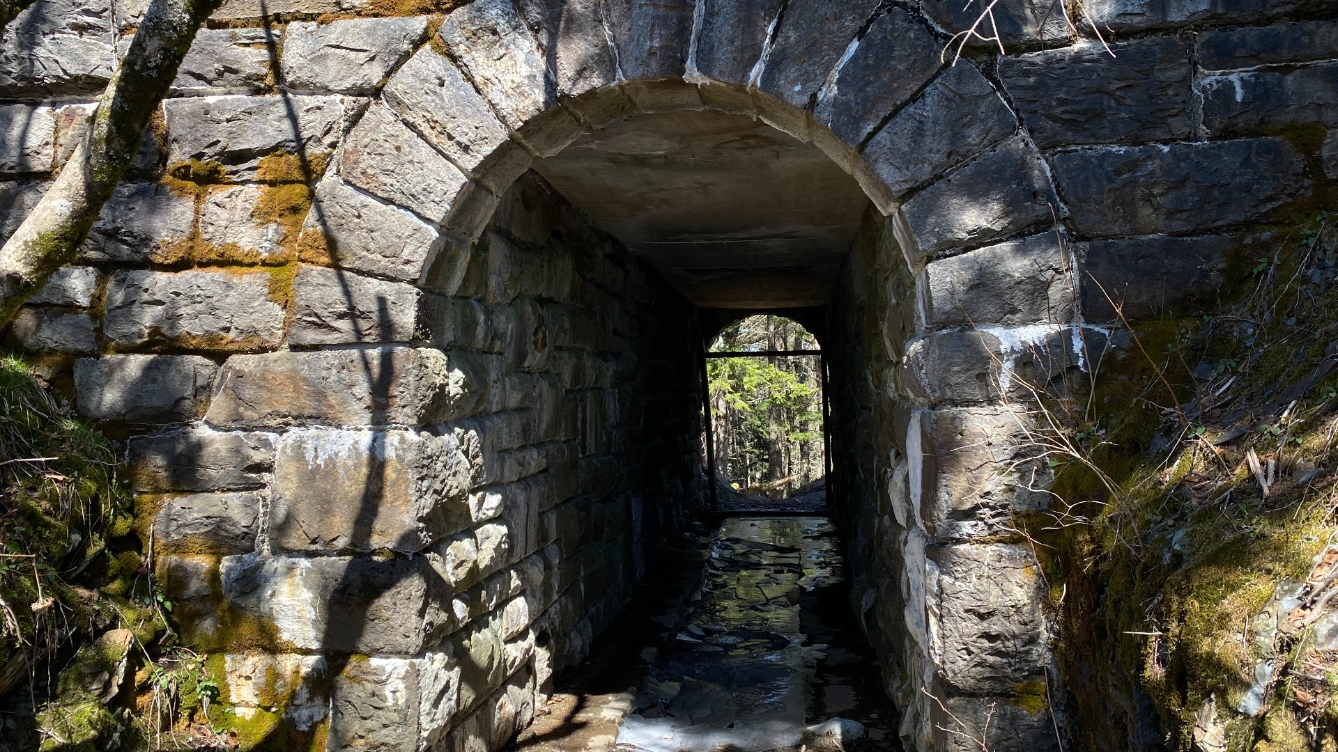 Few know about the secret tunnel beneath Clingmans Dome Road in the ...