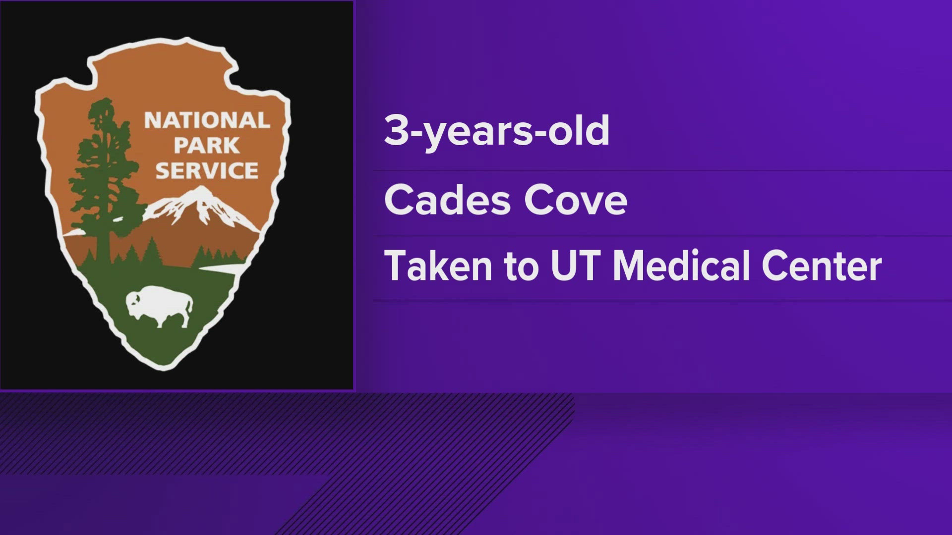 Toddler airlifted to hospital after falling off bridge in Great Smoky ...