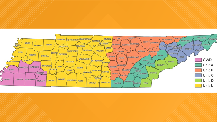 Tennessee wildlife officials working to prevent CWD's spread as deer ...