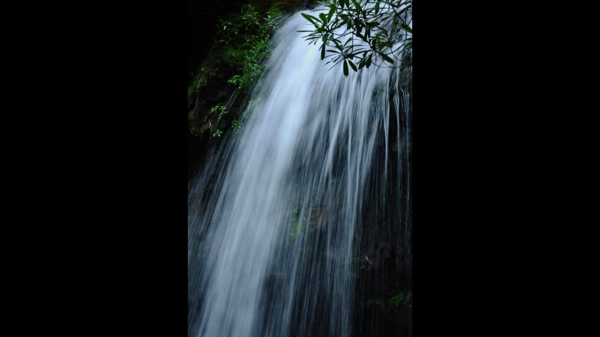 Eastern Band of Cherokee Indians may ask feds to restore name 'Kuwahi ...