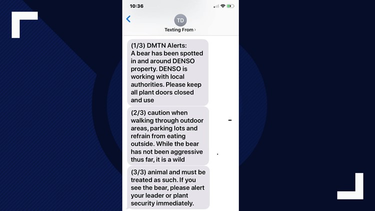 TWRA: Bear spotted inside DENSO plant captured, relocated | wbir.com