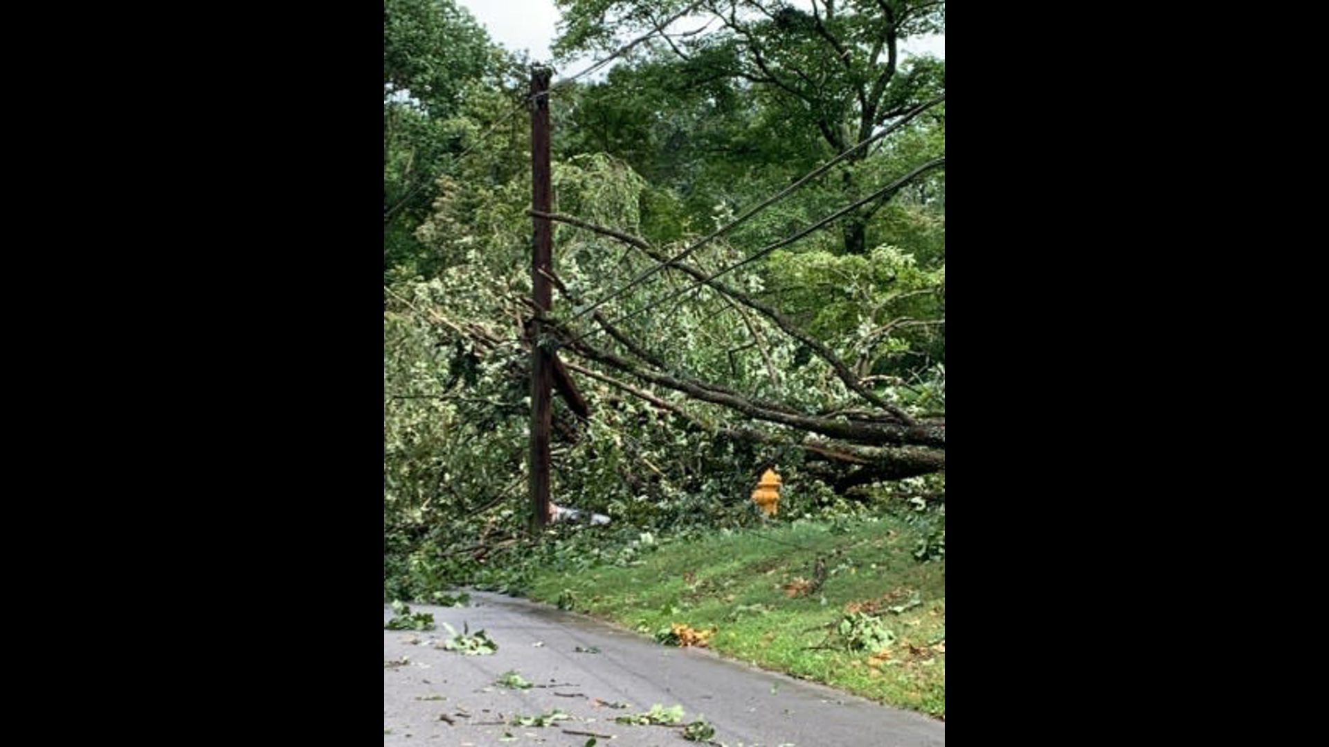 Gallery: Severe weather takes place across East Tennessee | wbir.com