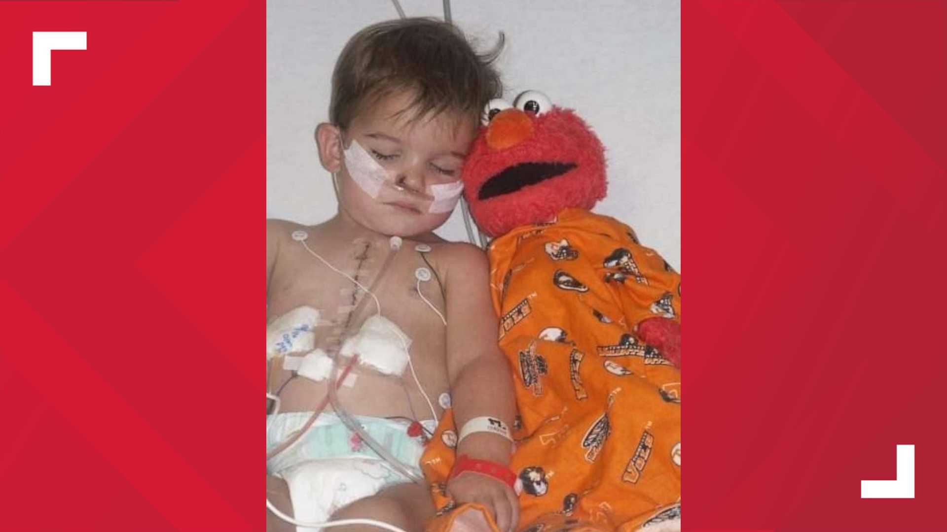 Knoxville photographer reunites mother with her son's missing Elmo more ...