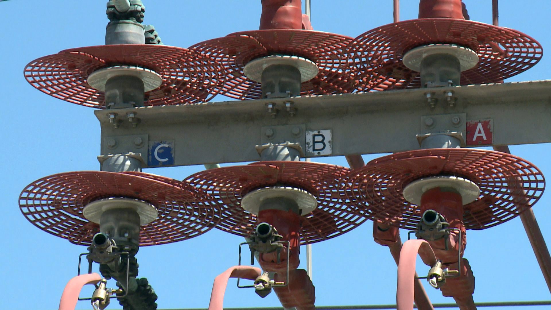 Utility companies combat power-hungry animals | wbir.com