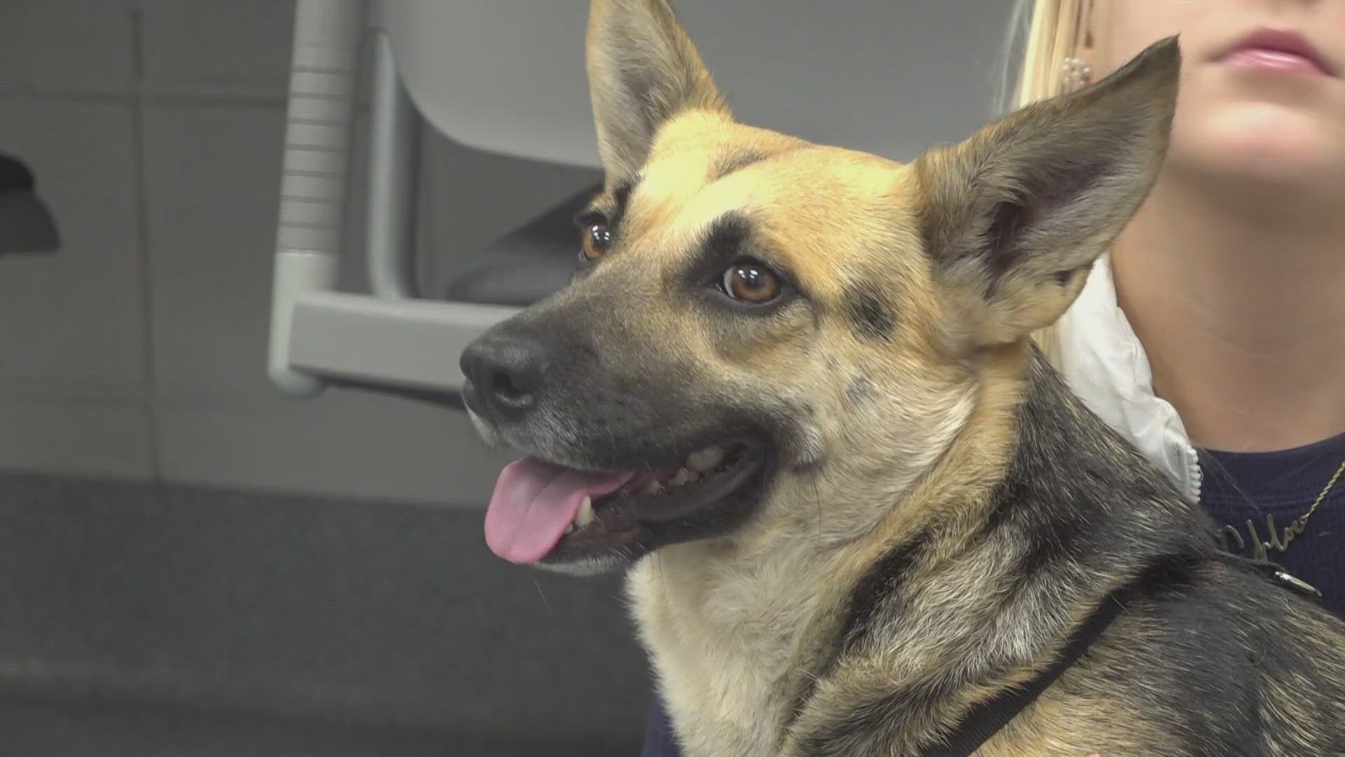 'The holidays look different now': Emma Heming Willis reflects on ...