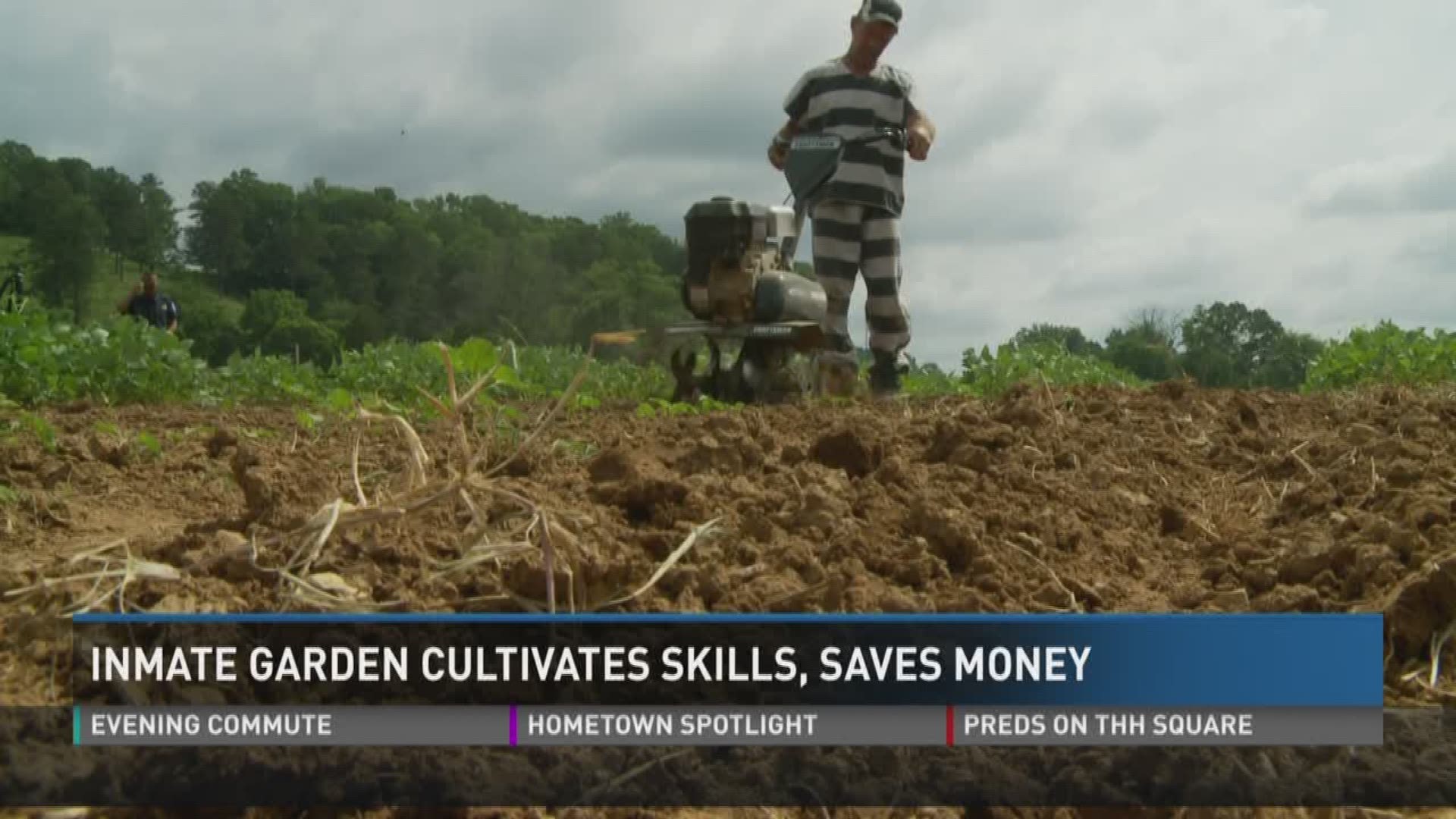 Inmate garden helps rehabilitate offenders, save taxpayers money | wbir.com