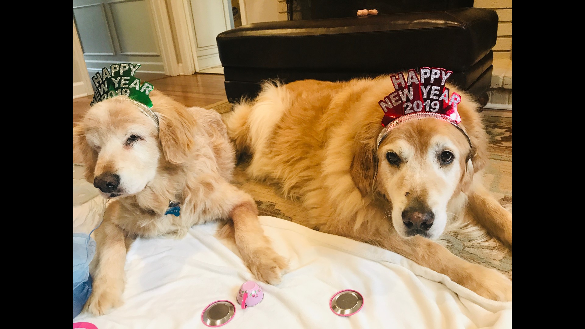 "It's the best years of their life" | East TN woman runs 'retirement ...