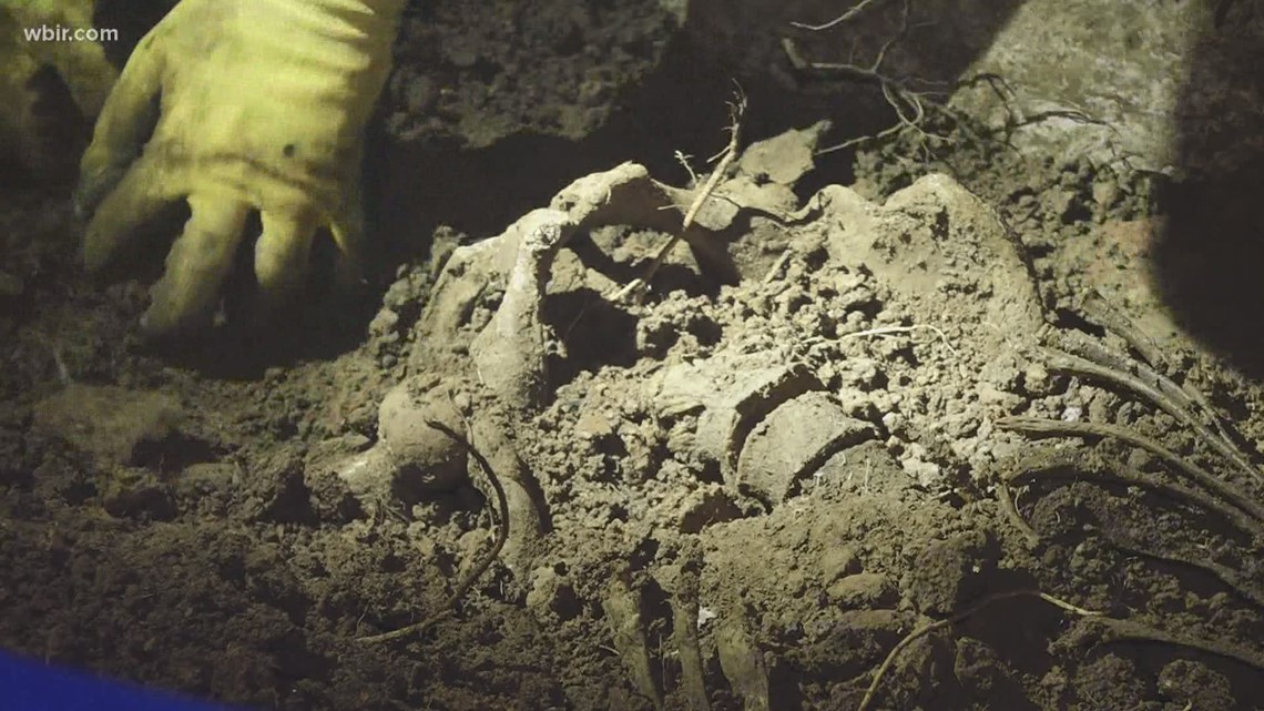 The Body Farm: The Beginning | wbir.com