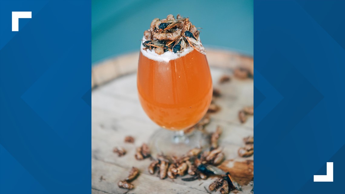 Brewd-X | Knoxville brewery creates cicada-themed beer to celebrate ...