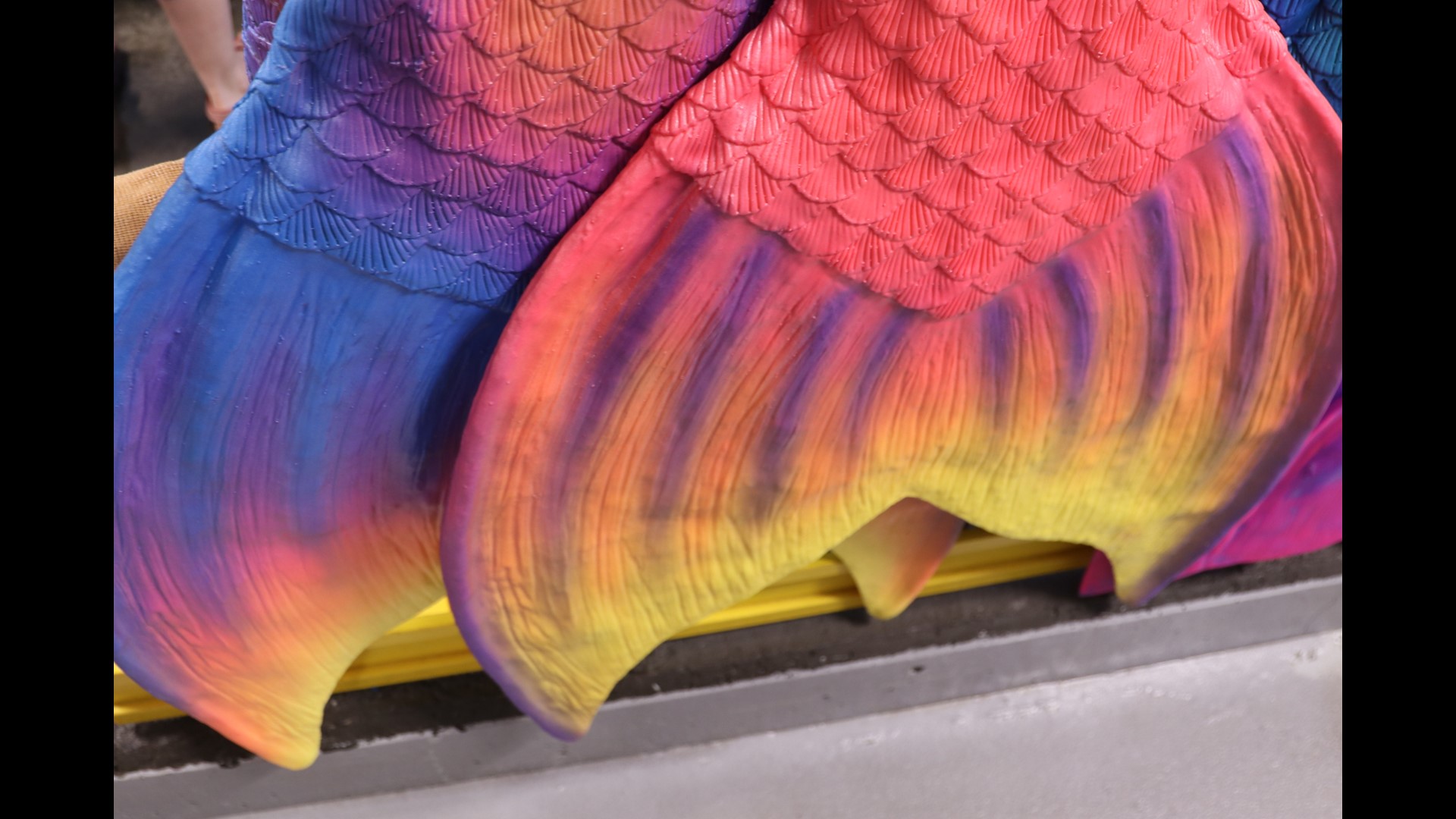 Uncovering the magic of Smoky Mountain mermaids | wbir.com