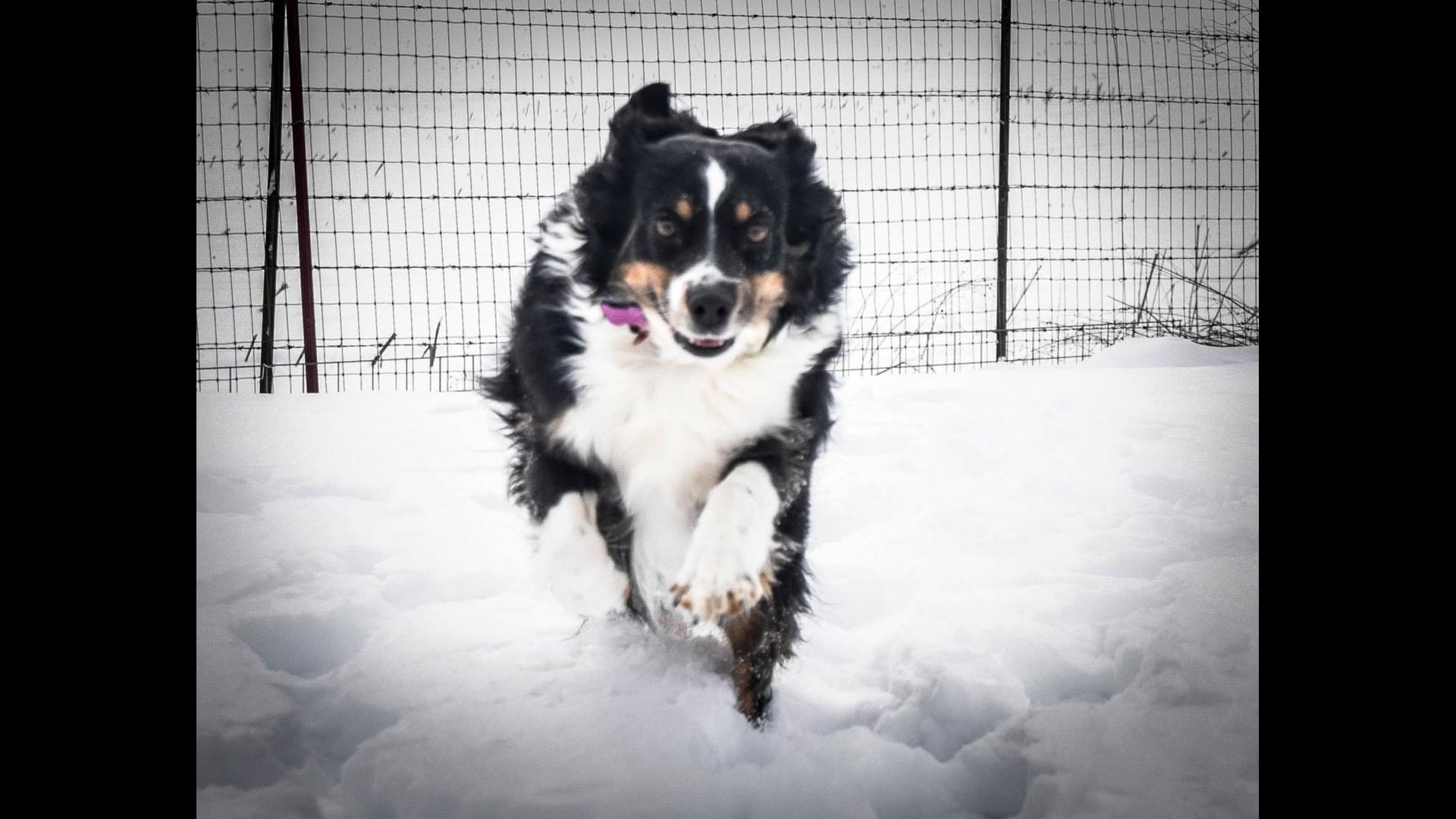 East Tennessee school closings for Thursday, Jan. 18 due to snow | wbir.com