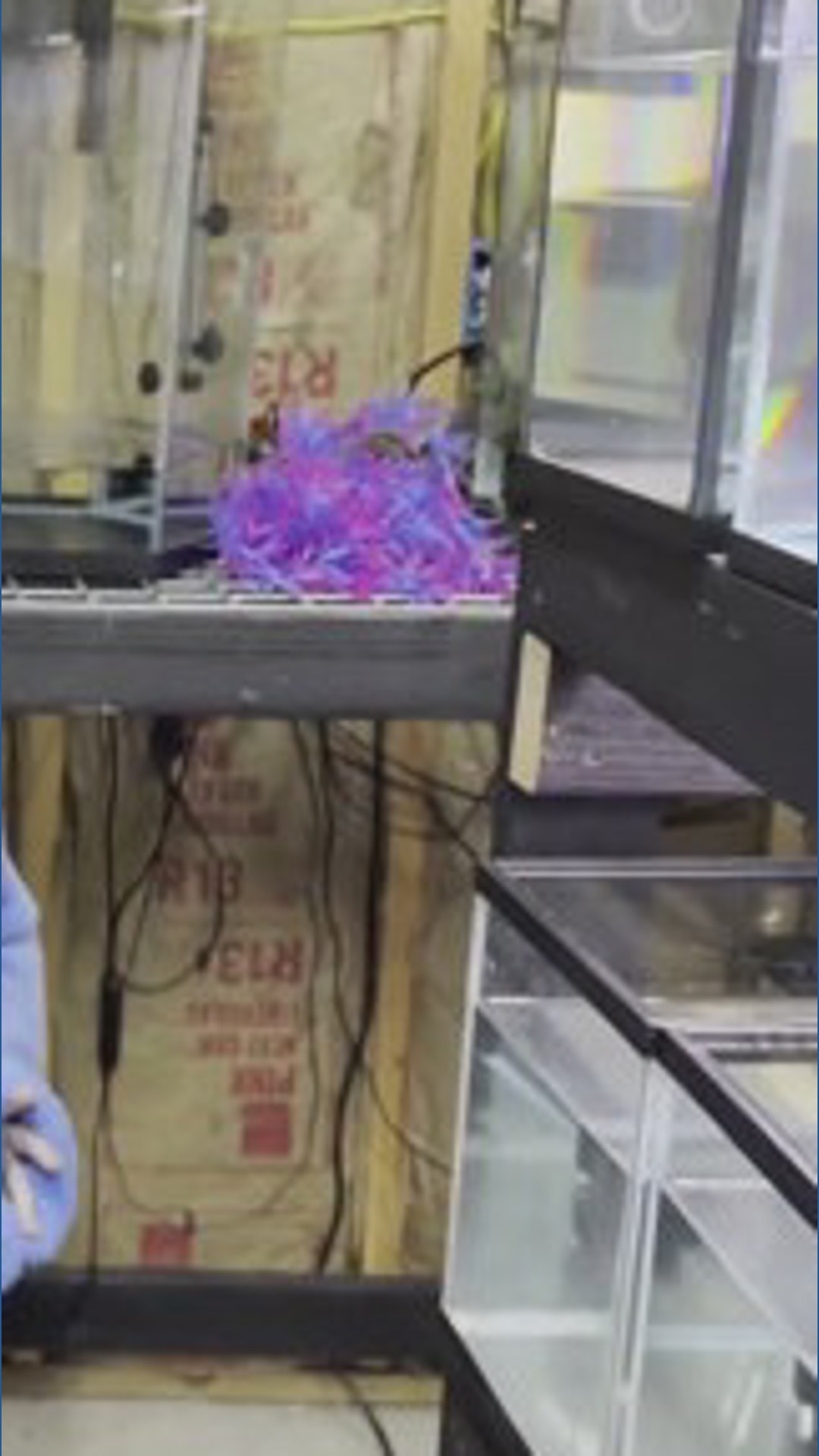Middle Tennessee fish store owner lost hundreds of tropical fish during ...