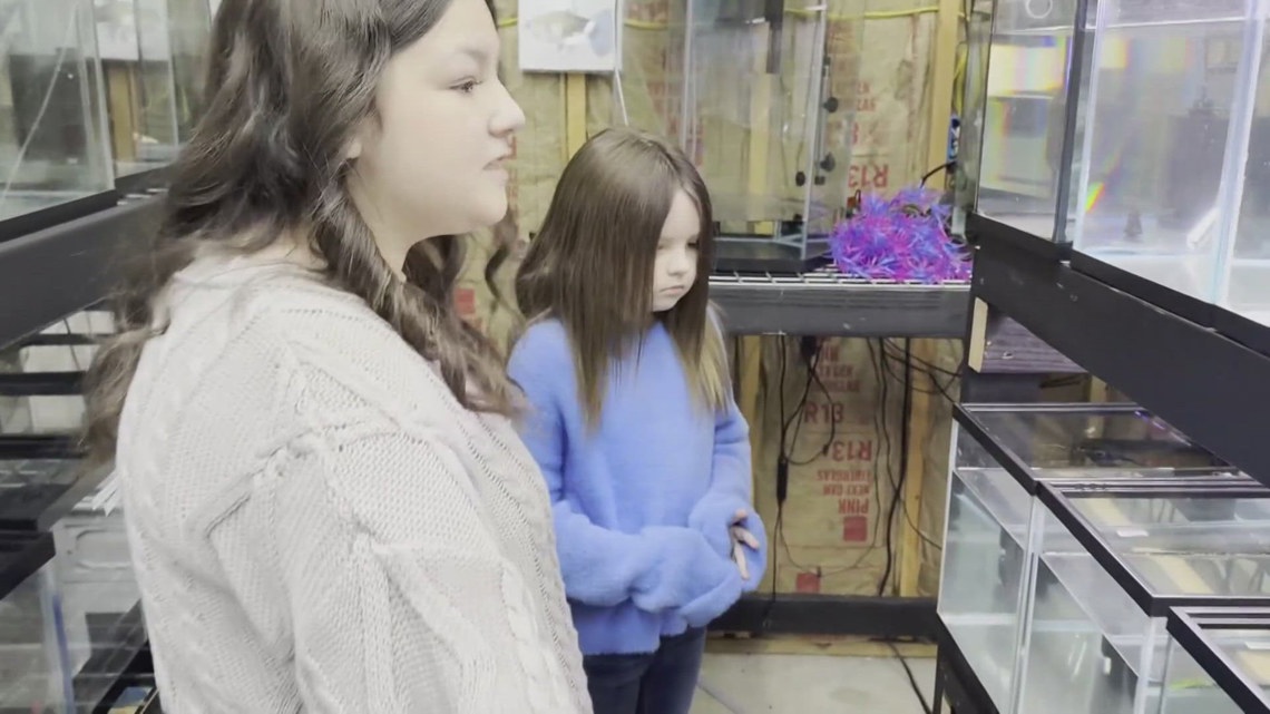 Middle Tennessee fish store owner lost hundreds of tropical fish during ...