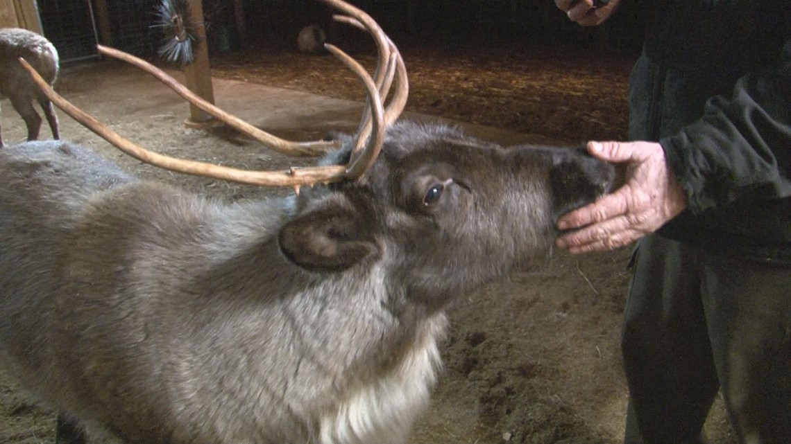 Santa's backup reindeer are ready to be on standby for Christmas | wbir.com