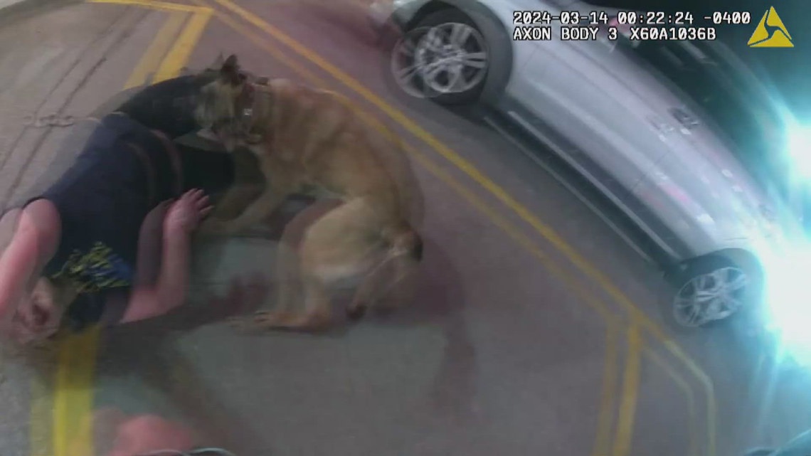 Woman sues after KCSO K-9 bite leaves her with scars, hundreds of ...