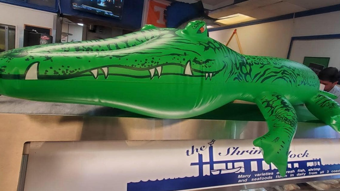 Some Knoxville restaurants put gator meat on the menu ahead of Florida ...