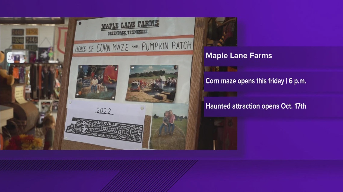 Maple Lane Farms opens corn maze for fall season, set to debut new ...