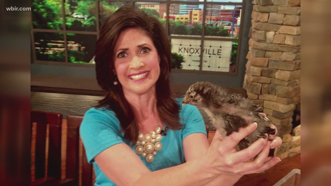 Beth Haynes celebrates 18 years with WBIR | wbir.com
