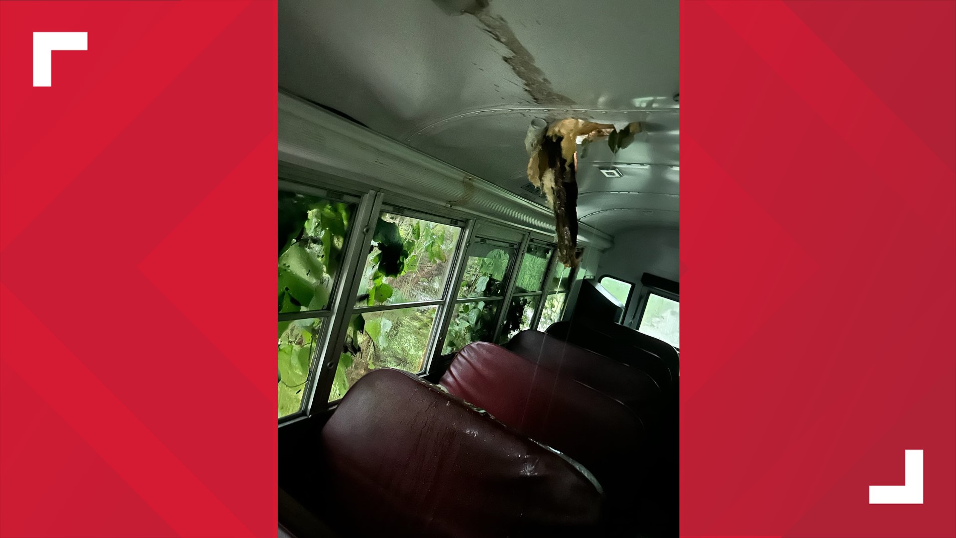 Tree falls on Jefferson County school bus with students onboard | wbir.com