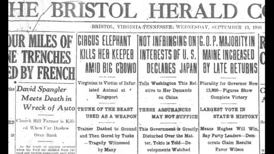 TN town's reputation suffers after elephant hanging | wbir.com