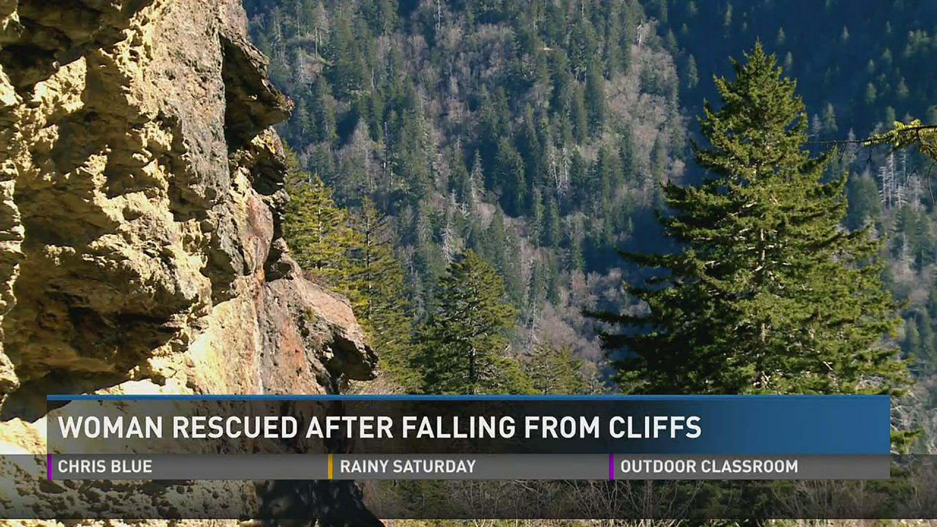 Woman rescued from Smokies after falling more than 100 feet | wbir.com