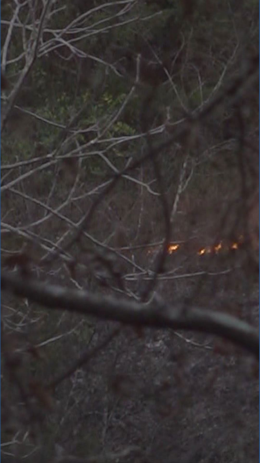 Wildfires spread in East Tennessee with fire season in full swing ...