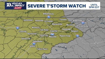 Severe Thunderstorm Warning issued for most of East Tennessee | wbir.com