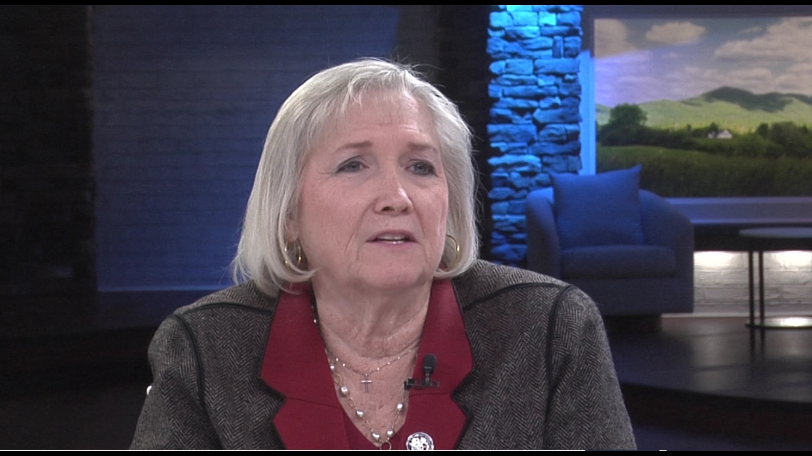 State Sen: Legislature will consider vouchers, immigration, Helene aid ...