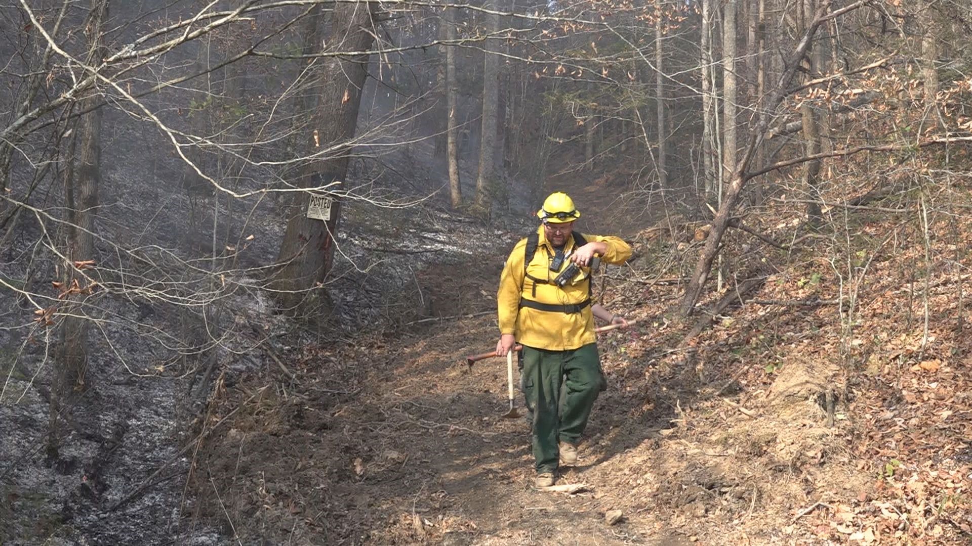 Cosby brush fire 100% contained | wbir.com