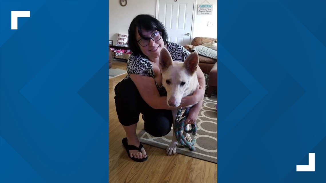 Chloe the dog, missing for 7 weeks after burglary, is found! | wbir.com