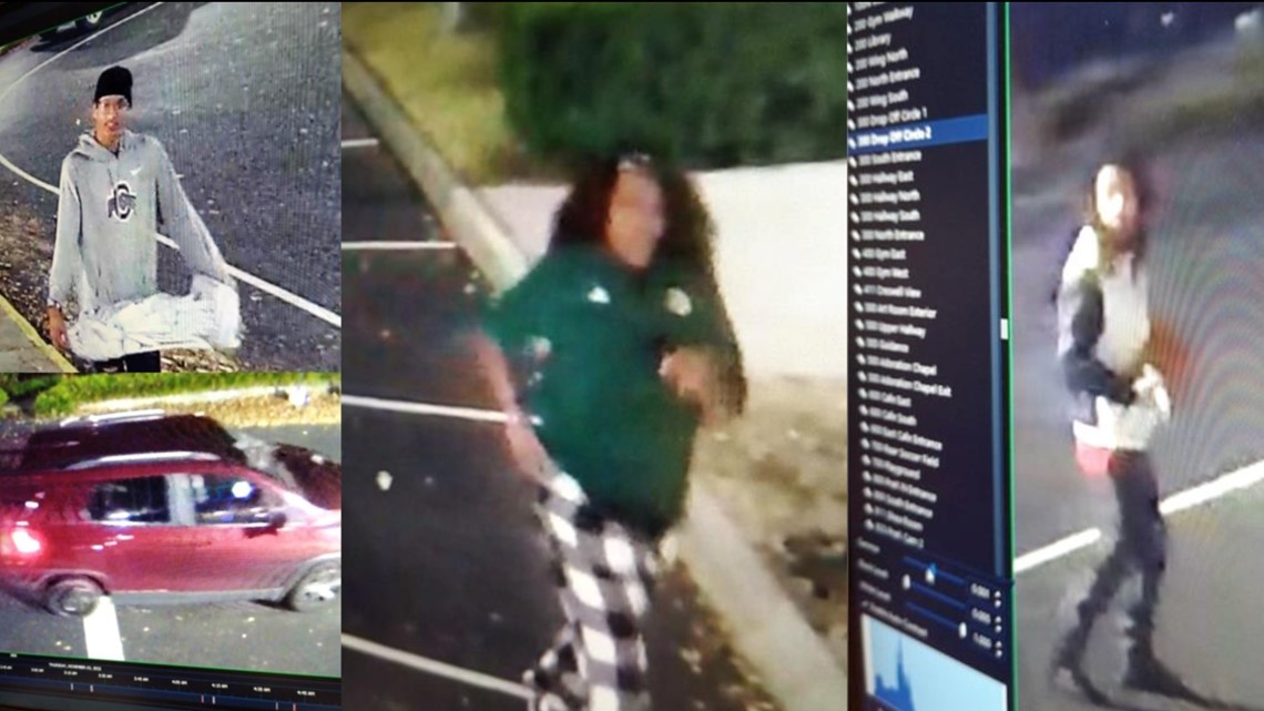 KPD searching for three people for stealing decorations, statues and ...