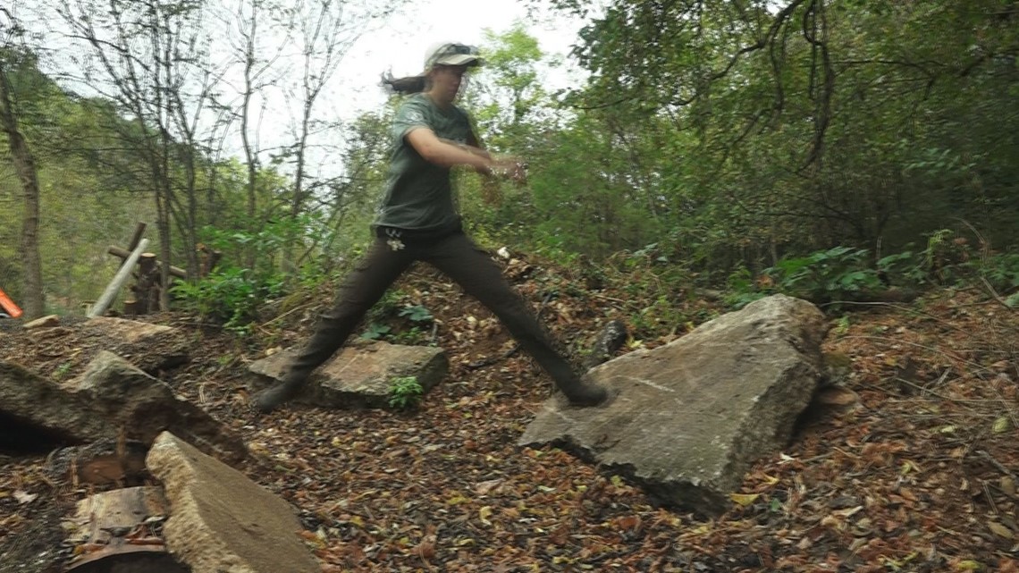 SLIDESHOW: New Primal Playground at Ijams Nature Center | wbir.com
