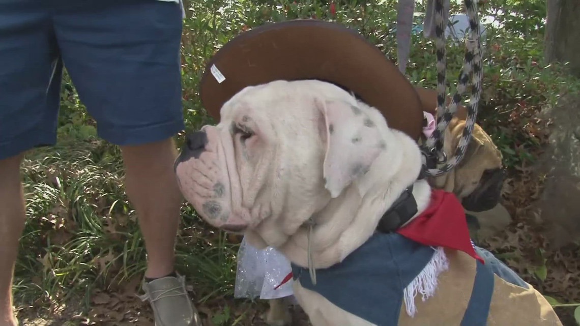 UT Gardens to hold 'Howl-O-Ween Pooch Parade and Expo' on Sunday | wbir.com