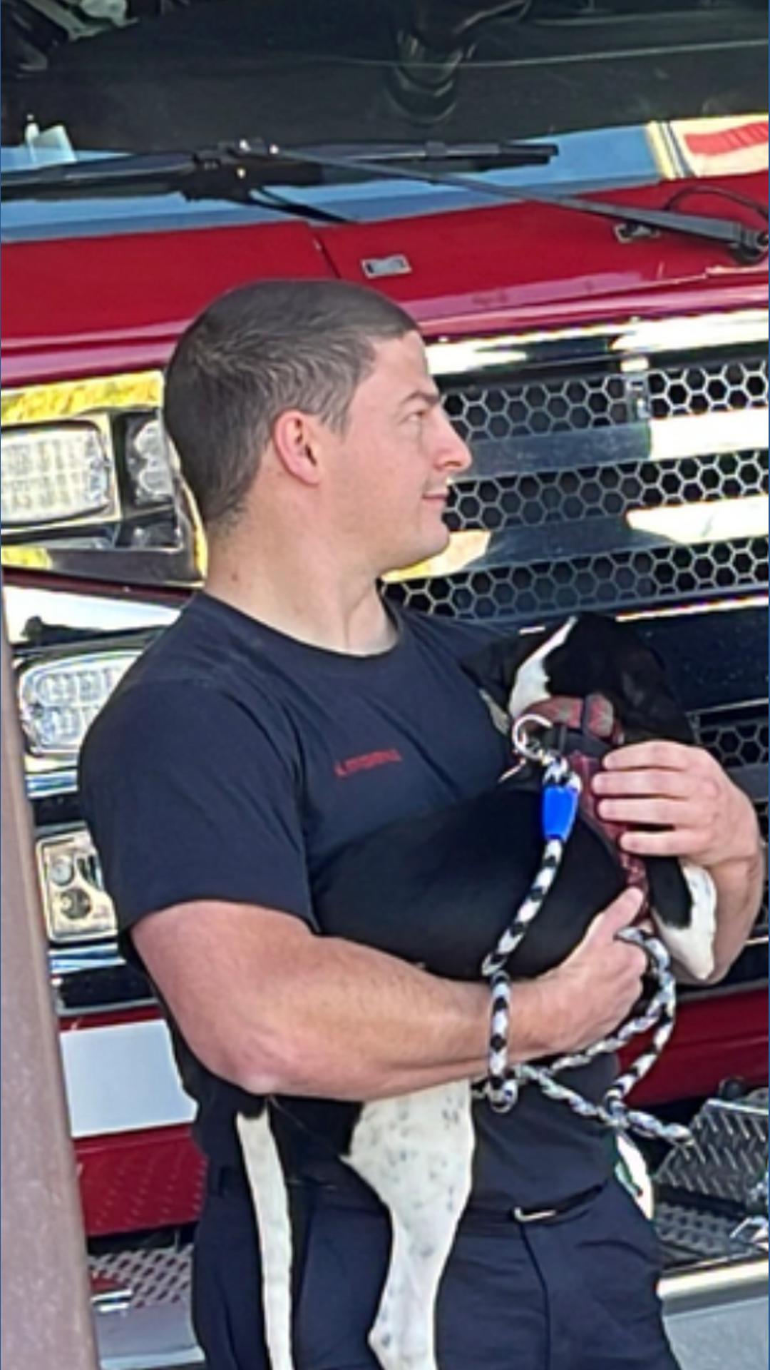 Knoxville fire stations equip microchip scanners for lost pets | wbir.com