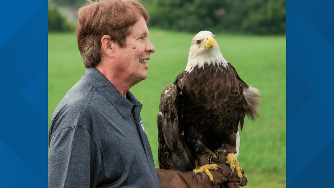 American Eagle Foundation mourns death of original eagle, Osceola ...