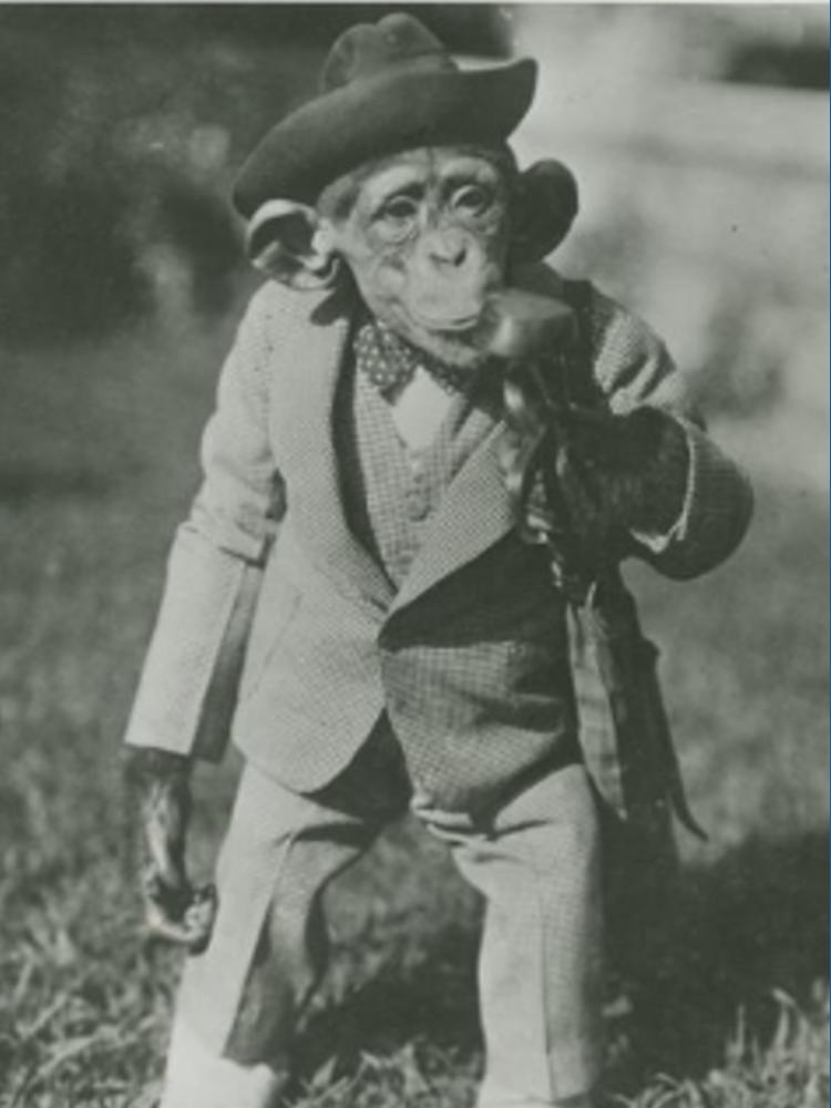 Dayton, TN. embraces 'Monkey Trial', place in history | wbir.com