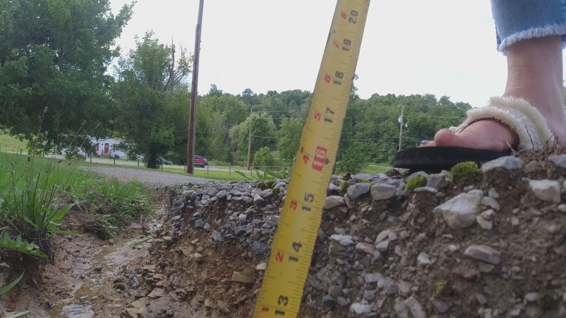 East TN Bloodhound Rescue can't catch a break — damaged kennels now a ...