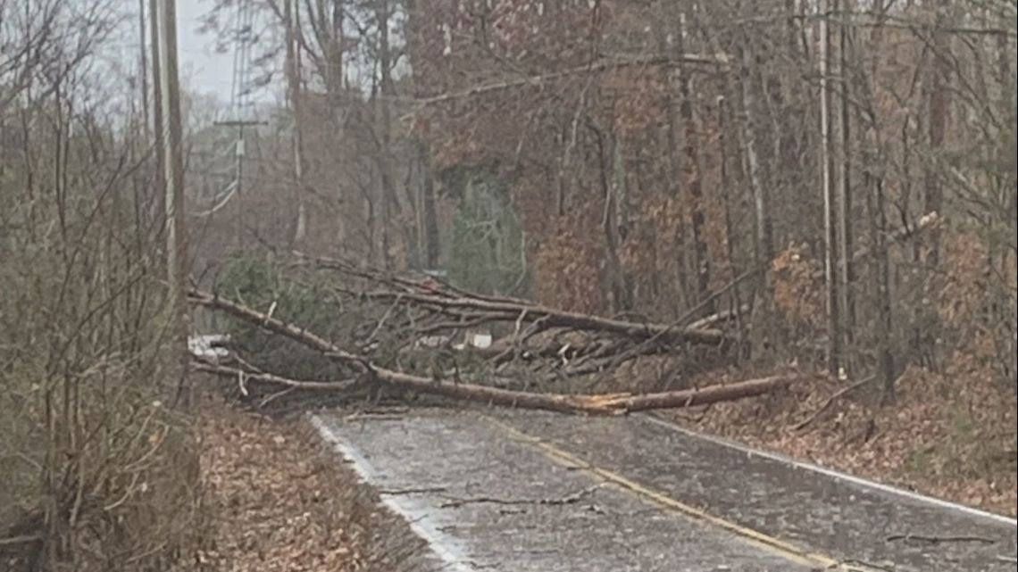 Toppled trees blocked roads in several counties, including Loudon and ...