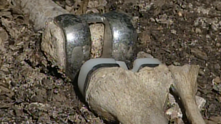 What goes on behind the locked gates of the Body Farm | wbir.com