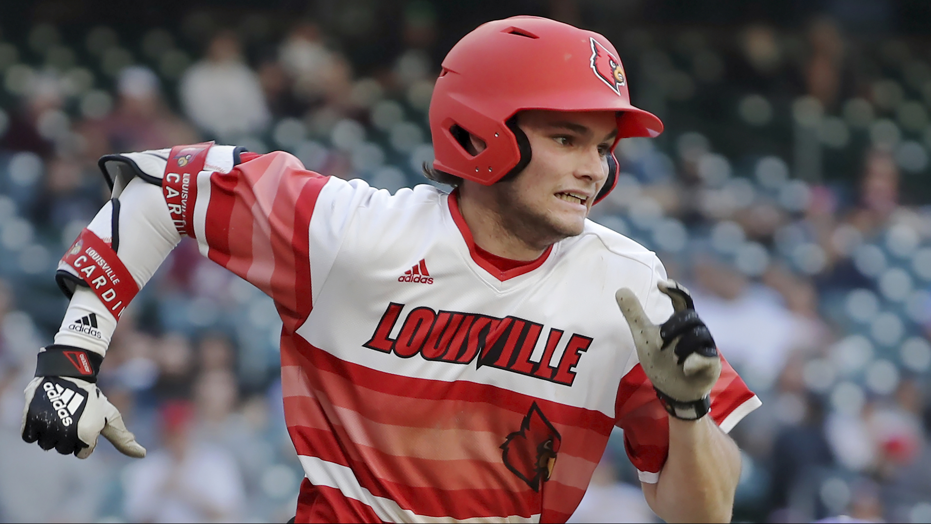 Tennessee baseball lands Louisville transfer Gavin Kilen | wbir.com