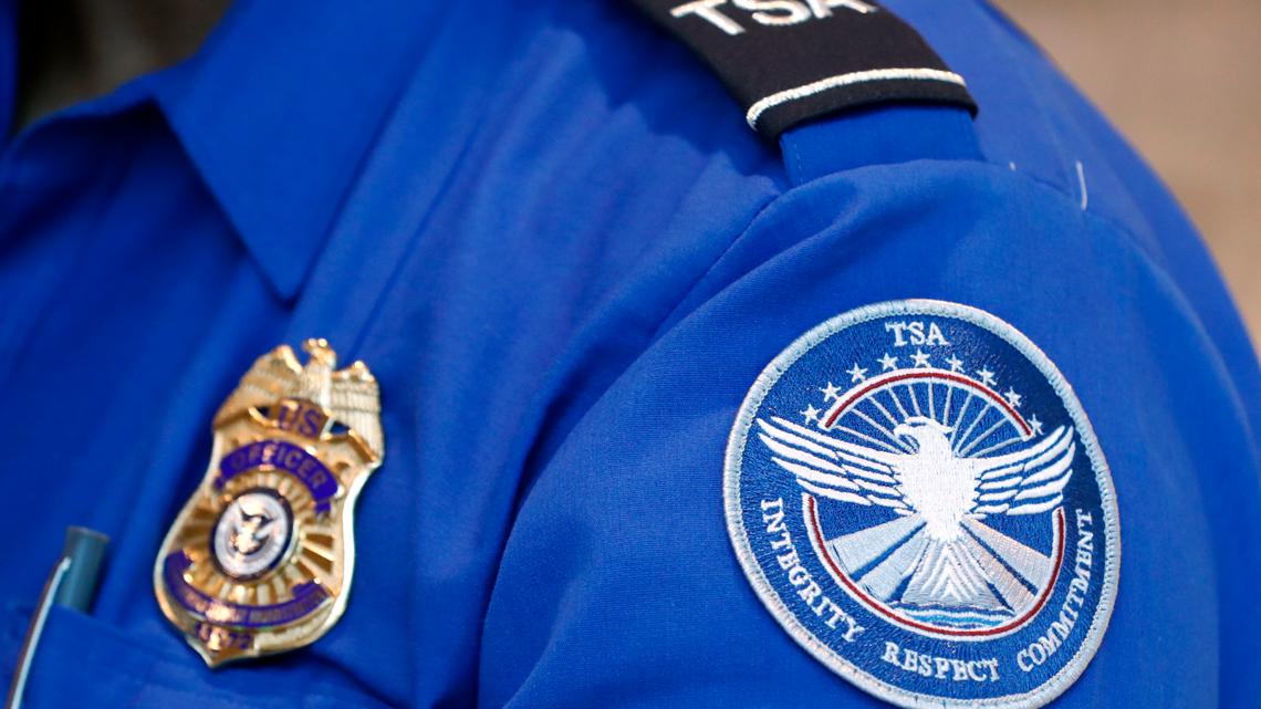 Nearly 250 probationary TSA workers lose jobs as part of Trump ...